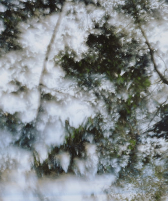 LFI | Stories | MICHAEL WESELY